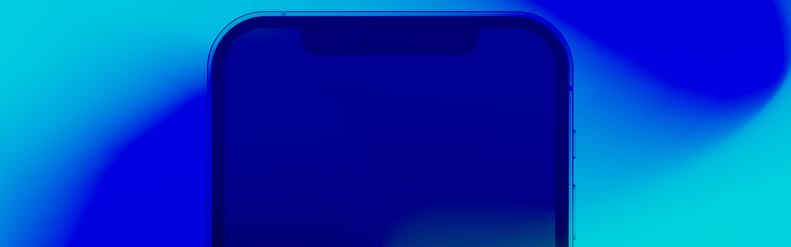 FAQ | SECURITYTEC.RENTALS